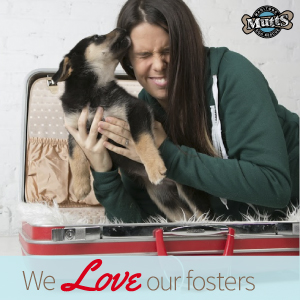 Home - Manitoba Mutts Dog Rescue