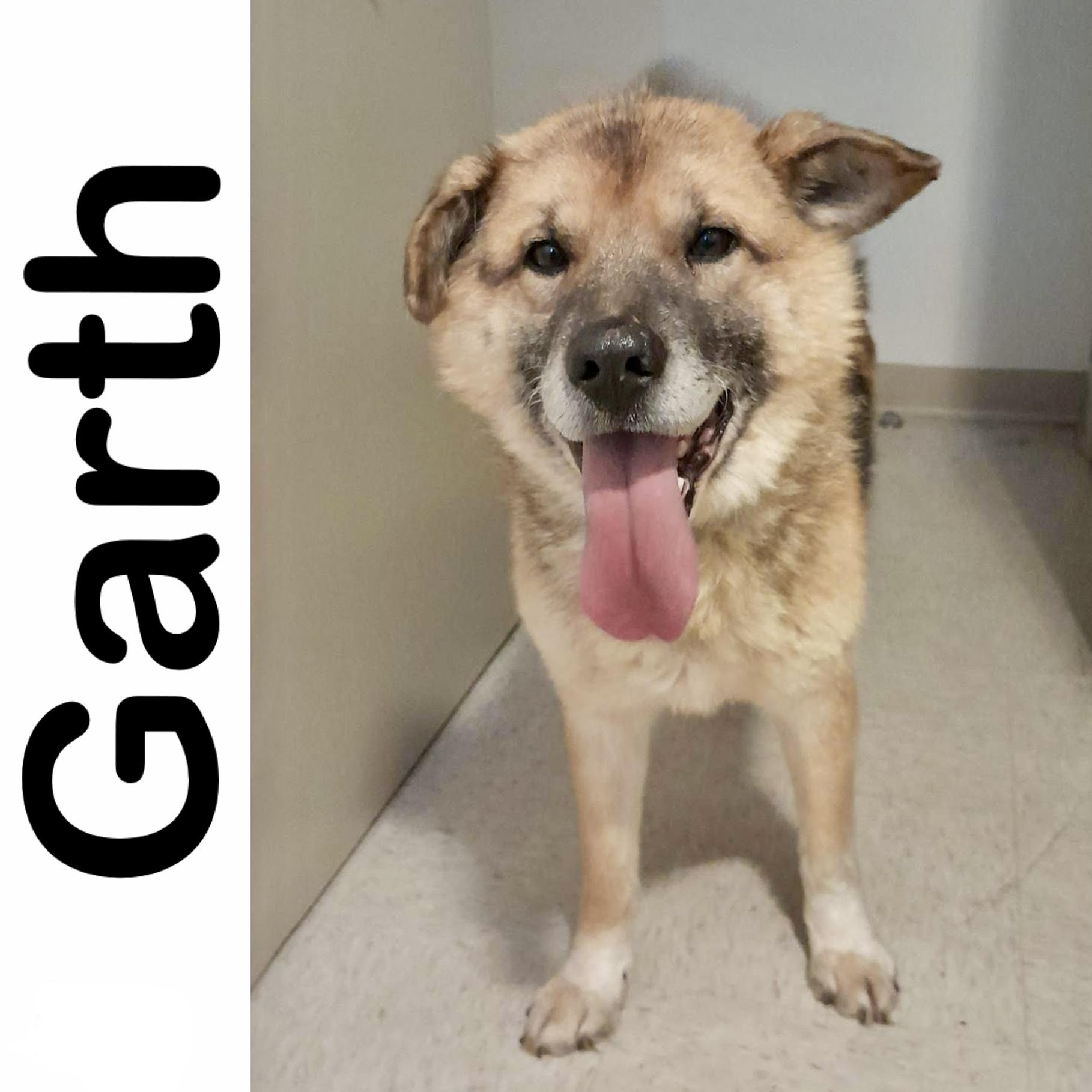 Garth - Manitoba Mutts Dog Rescue